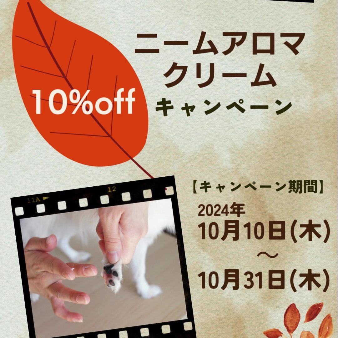 新着情報 – BLOOM 犬を愛する全ての人に100％天然素材の厳選した原料と穏やかな香りのニームアロマ商品をお届けしています。